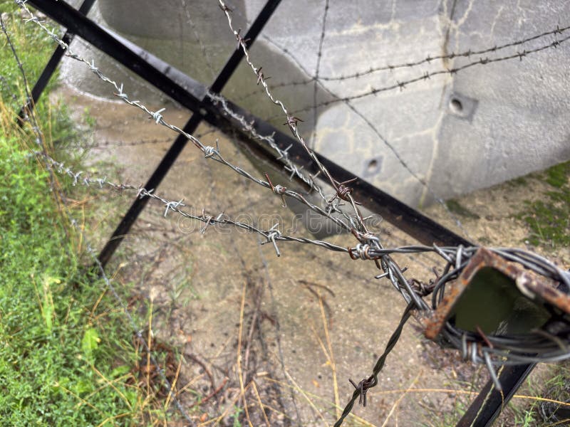 Close Up of Sharp Barbed Wire on a Metal Fence, Concept of Security ...
