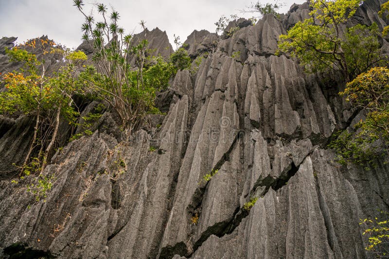 Close Up on the Sharp Black Limestone Cliffs of Coron, Palawan ...