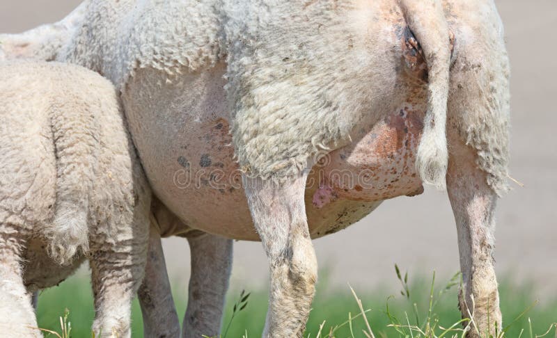 Micha Klootwijk (Michaklootwijk) - Photos