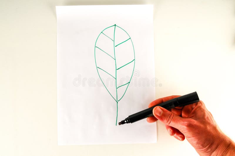 Close-up of Sheet with Drawing Stock Photo - Image of background ...