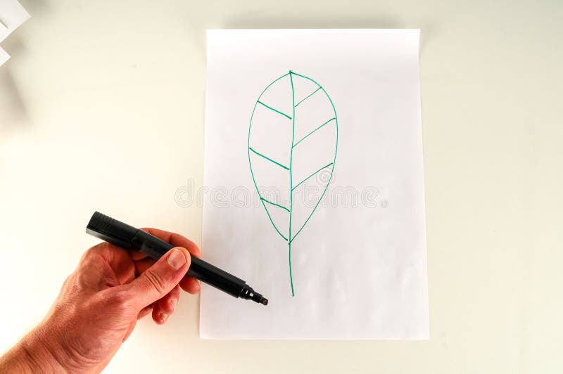 Close-up of Sheet with Drawing Stock Image - Image of white, vintage ...