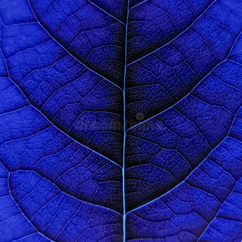 Close-up Sheet Texture. Macro. Blue Tinted. Selective Focus. Stock ...