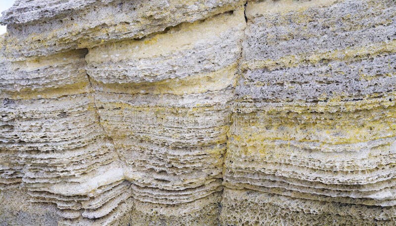 Close-up of Shell Rock Texture. Rough Surface of Coquina Limestone ...