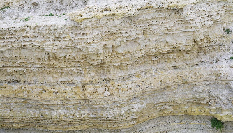 Close-up of Shell Rock Texture. Rough Surface of Coquina Limestone ...
