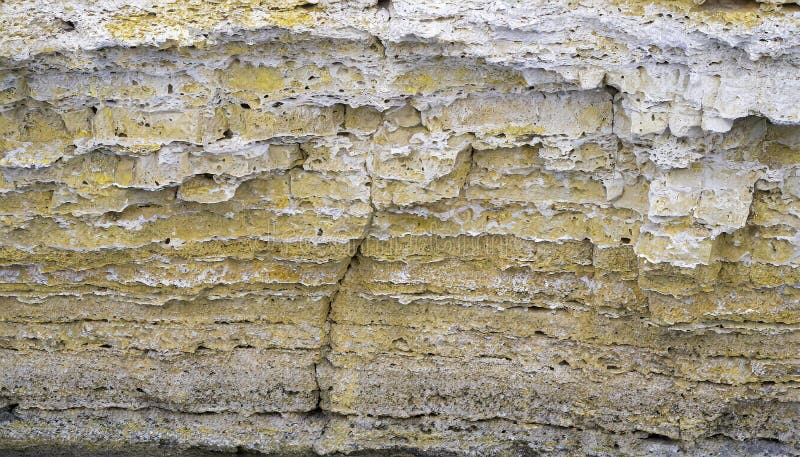Close-up of Shell Rock Texture. Rough Surface of Coquina Limestone ...