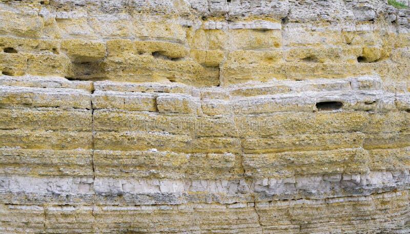 Close-up of Shell Rock Texture. Rough Surface of Coquina Limestone ...