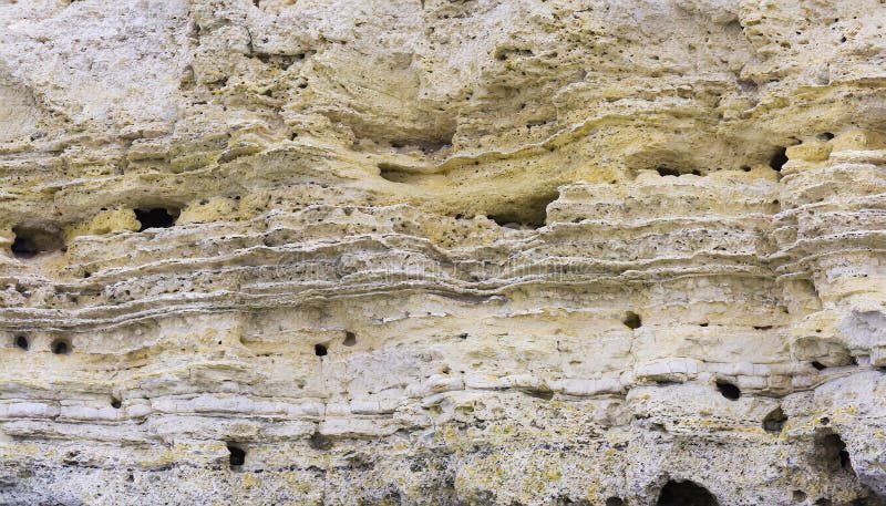 Close-up of Shell Rock Texture. Rough Surface of Coquina Limestone ...