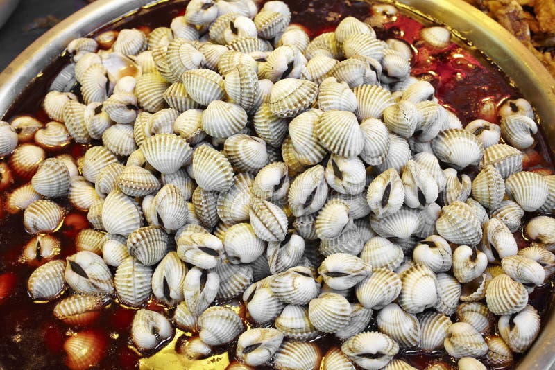 Close Up Shell in Salt Sauce Stock Image - Image of shell, salt: 41582679