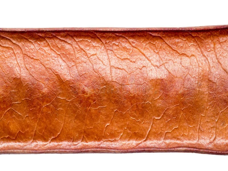 Close Up Shell Wrapper of White Popinac Tree Stock Image - Image of ...