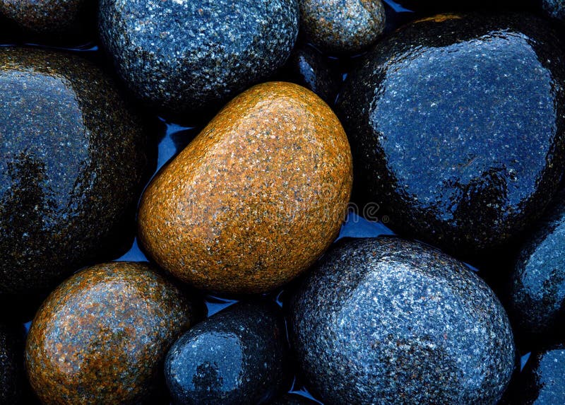Close-up of Shiny, Wet Rock after Rain Stock Illustration ...