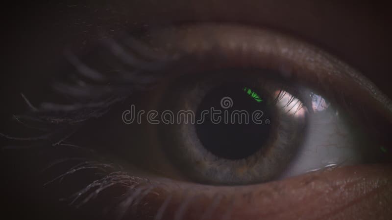 Eye Reflection Stock Footage & Videos - 12,385 Stock Videos