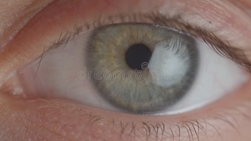 Shrinking Pupil Stock Footage & Videos - 14 Stock Videos