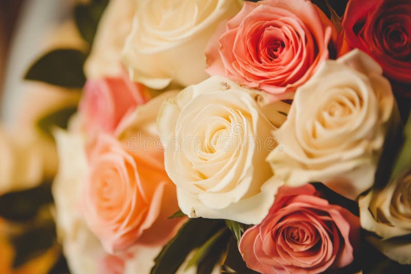 A Close Up Shot of a Beautiful Bouquet of Roses Stock Photo - Image of ...