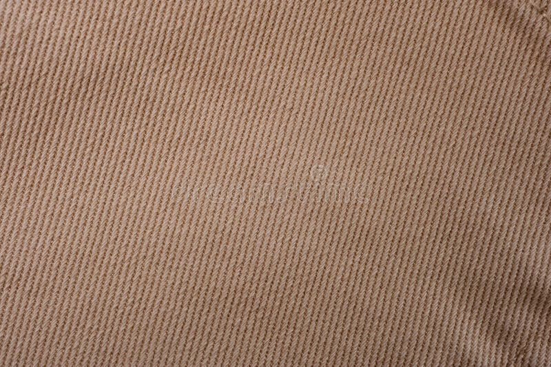 Beige Denim Shirt and Cotton Flowers Close Up, Flat Lay, Top View ...