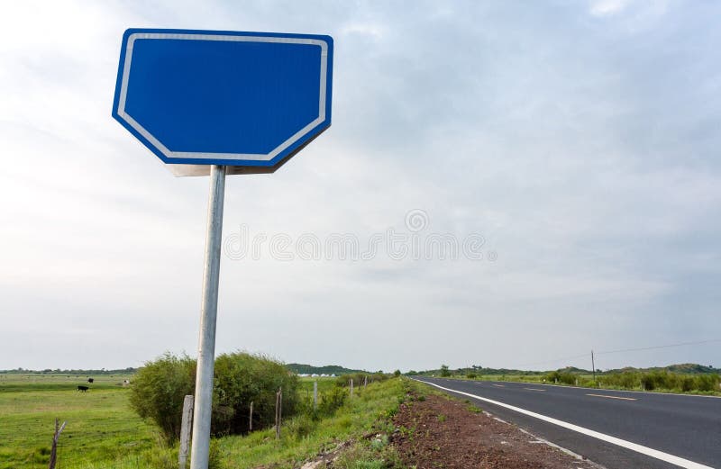 Close-up Shot of a Blue Blank Traffic Sign on a Road Stock Image ...