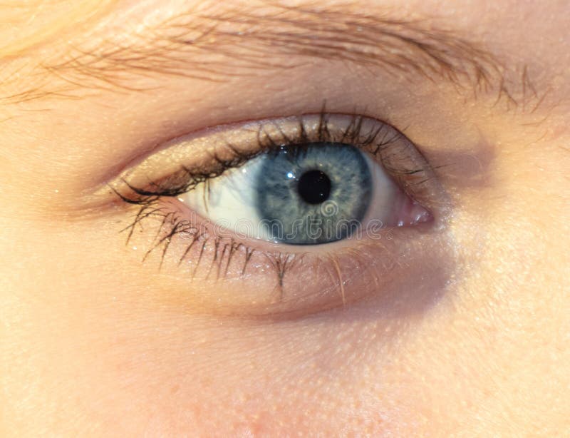 Close-up Shot of Blue Female Eye with Long Eyelashes Stock Image ...