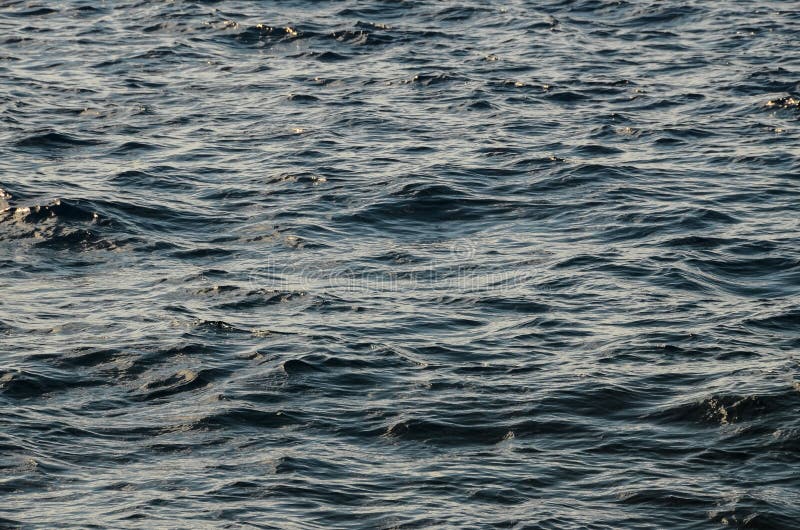Close-up Shot of Blue Still Sea Water Texture Stock Photo - Image of ...