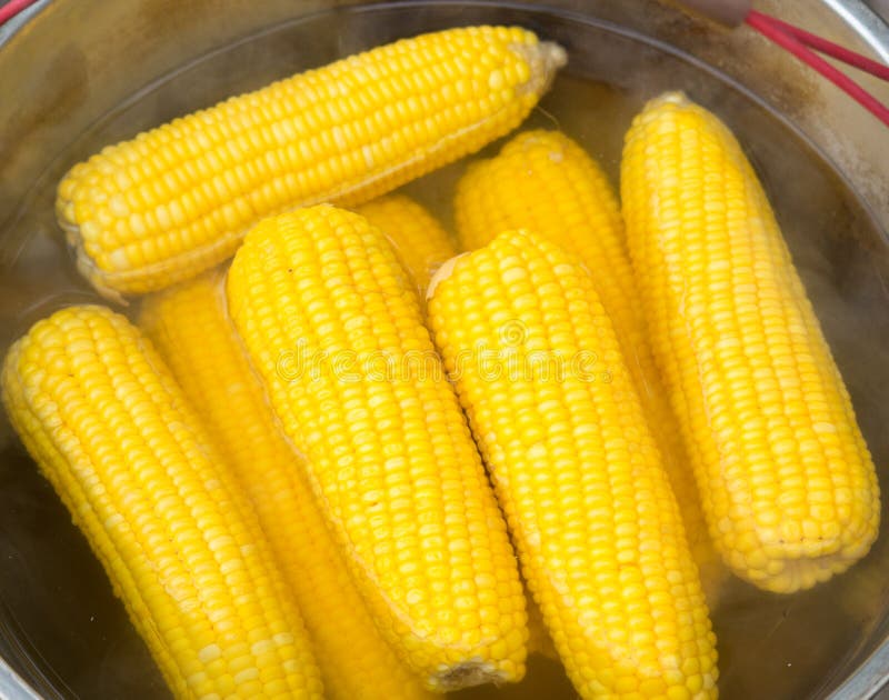 Boiled corn stock photo. Image of lunch, crunchy, coated - 109441072