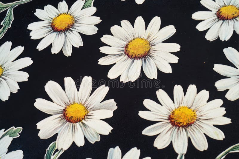 A Close-up Shot of a Bouquet of White Flowers on a Dark, Matte Surface ...