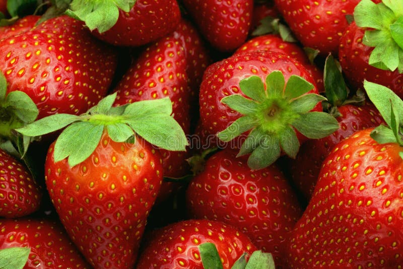Close Up Shot of a Bunch of Strawberries Stock Image - Image of ...