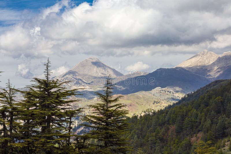 View of Cedar Forests and Tunc Mountain in Antalya - Turkey Stock Photo ...