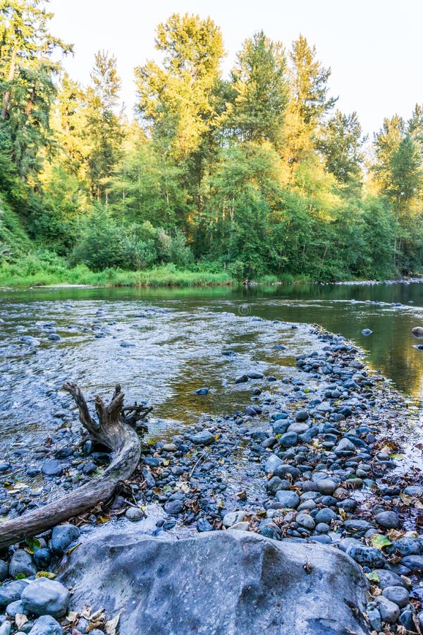 Cedar River Close-up 2 stock photo. Image of washington - 156582384