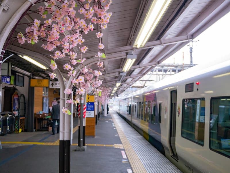Close Up Shot of Cherry Blossom Modal in a Train Platform Editorial ...