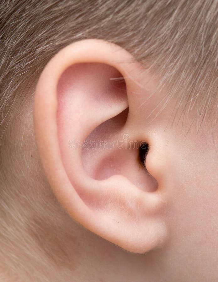 Photos of Model in Image ID 25640470 by Ruslanchik