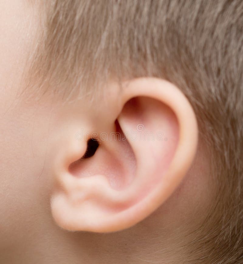 Child ear stock image. Image of sensory, healthy, baby - 43798973