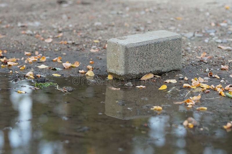 916 Concrete Puddle Texture Stock Photos - Free & Royalty-Free Stock ...