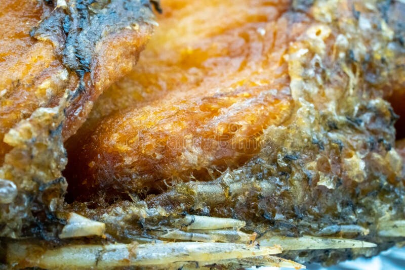 Close Up Shot of Deep Fried Fish for Texture or Stock Photo - Image of ...