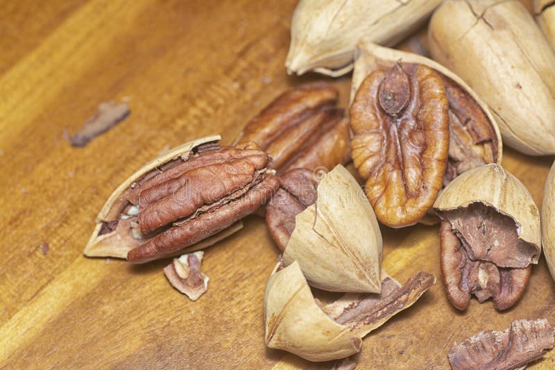 Close Up Shot of the Edible Dried Pecan Nuts. Stock Image - Image of ...