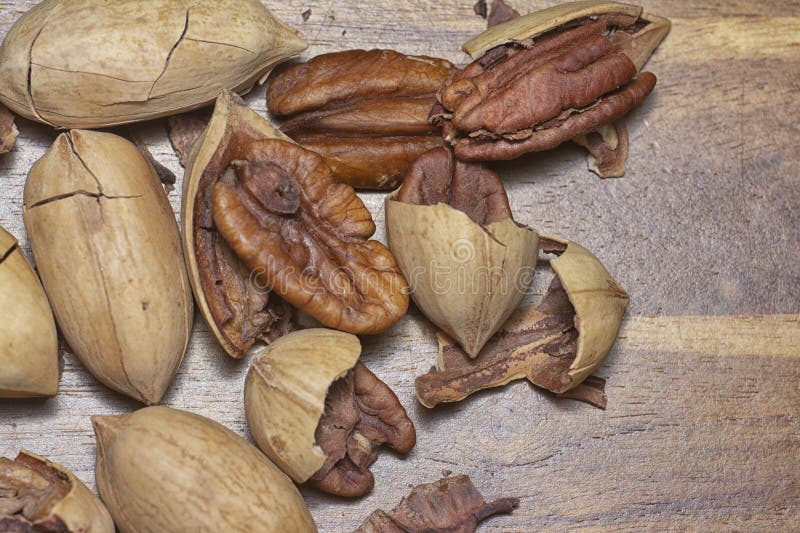 Close Up Shot of the Edible Dried Pecan Nuts. Stock Photo - Image of ...