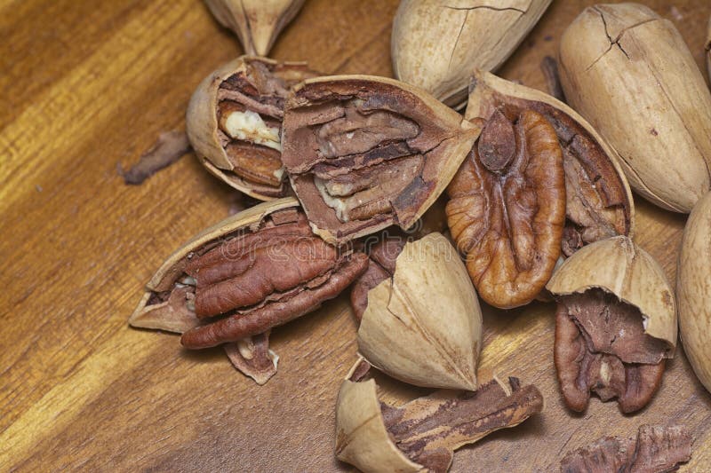 Close Up Shot of the Edible Dried Pecan Nuts. Stock Photo - Image of ...