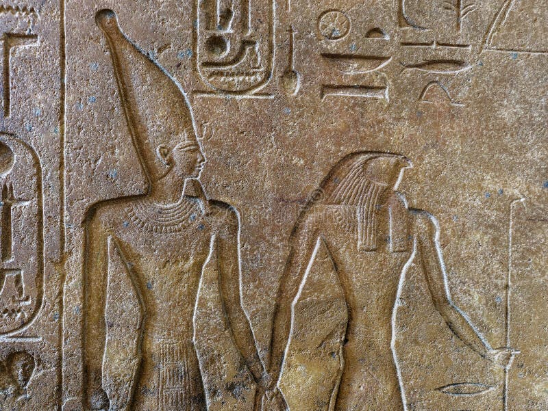 Close Up Egyptian Reed with the Background of Blue Sky Stock Image ...