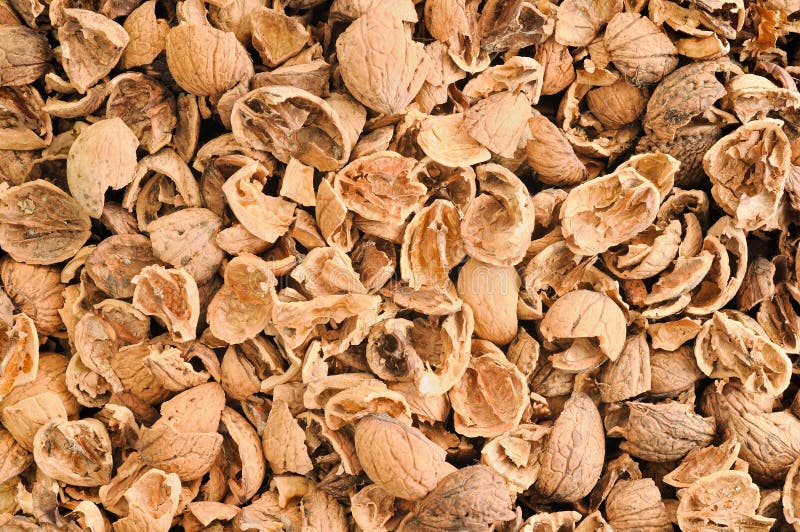 Close-up Shot of Empty Shells of Walnuts and Nuts Scattered on a Table ...