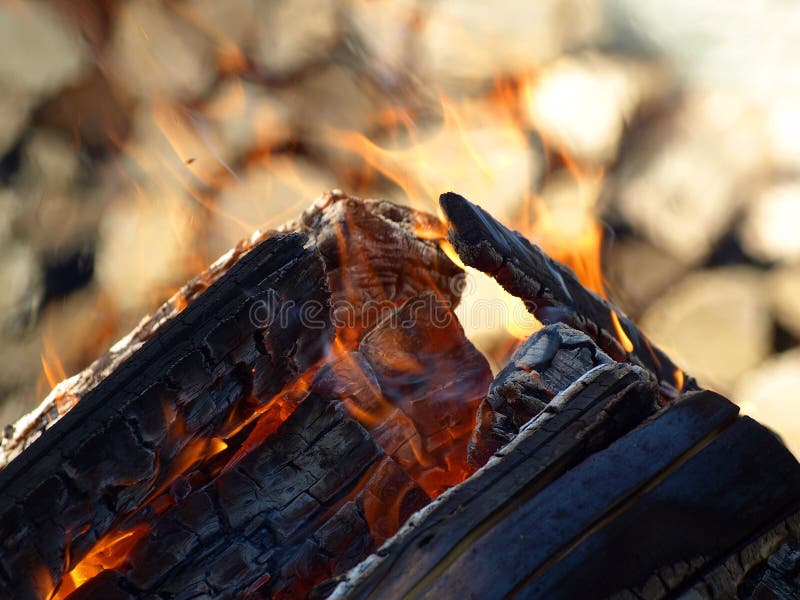 Close-up Shot of Fire Flames of Burning Wood Stock Image - Image of ...
