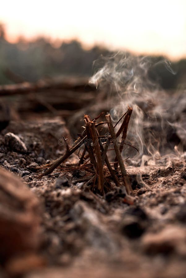Close Up Shot of Fire Making Process in the Wild at Sunset Stock Image ...