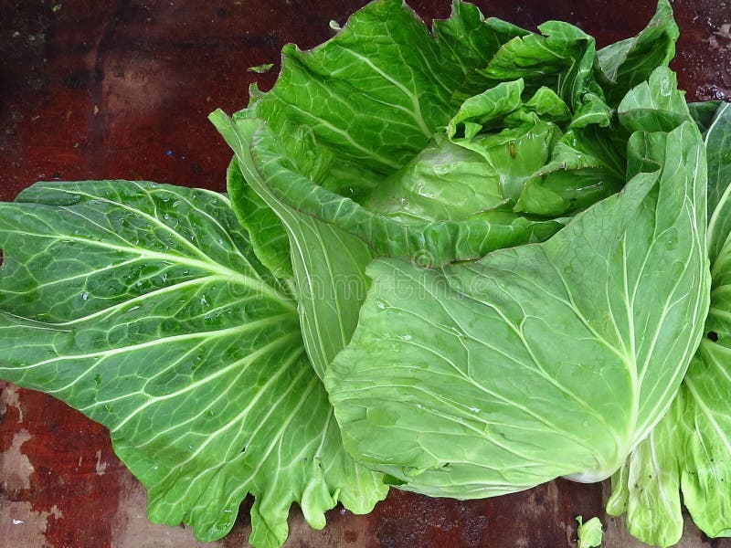 Close Up Shot of Fresh Cabbage - Healthy Lifestyle Stock Photo - Image ...