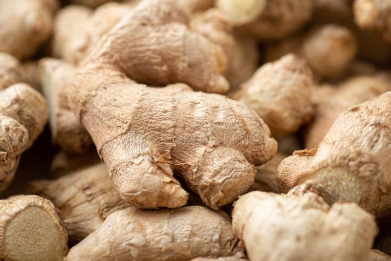 Close Up Shot of Ginger Root Stock Image - Image of studio, herbal ...
