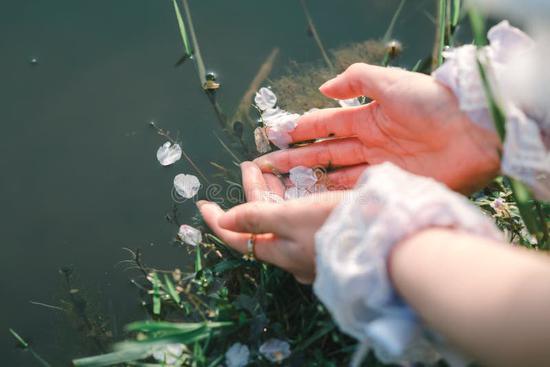 Close-up Shot of Hands Throwing Flower Petals in a Pond Stock Photo ... Close-up Shot of Hands Throwing Flower Petals in a Pond Stock Photo ...
