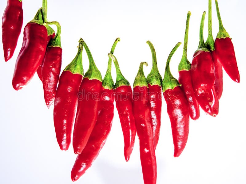 Close Up Shot of Hanging Hot Chili Peppers Stock Image - Image of ...