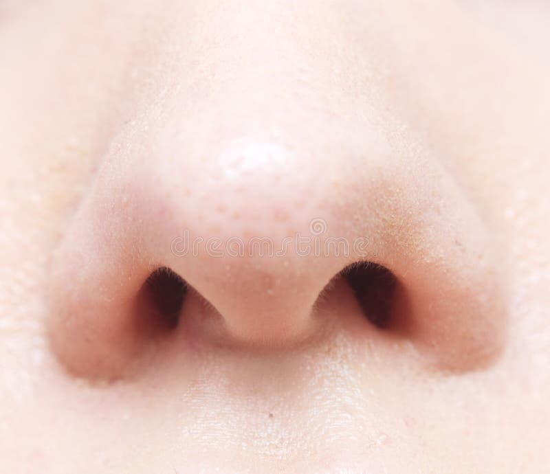 Human Nose Close Up