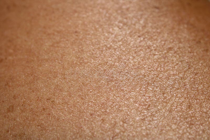 Close-up Shot of a Human Skin Texture Stock Photo - Image of young ...