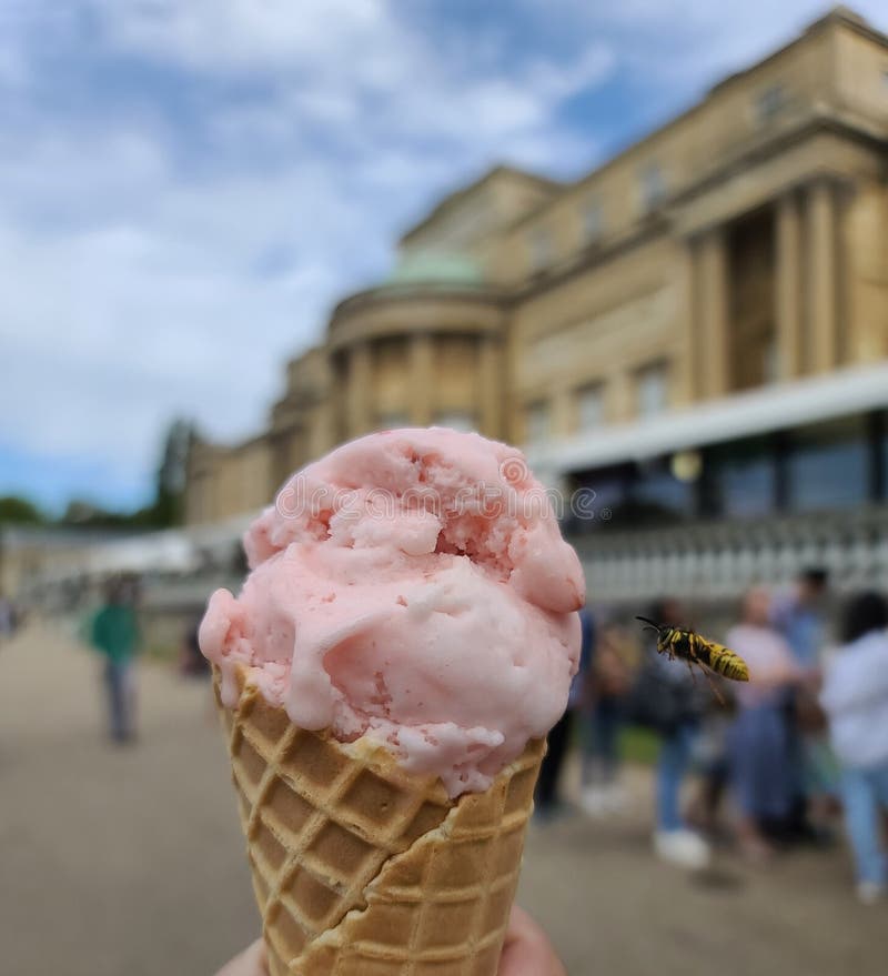 Close Up Shot of Ice Cream and a Wasp Stock Photo - Image of cream ...