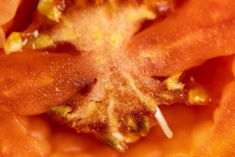 Close-up Shot of the Inside Skin of Half a Red Tomato Stock Photo ...