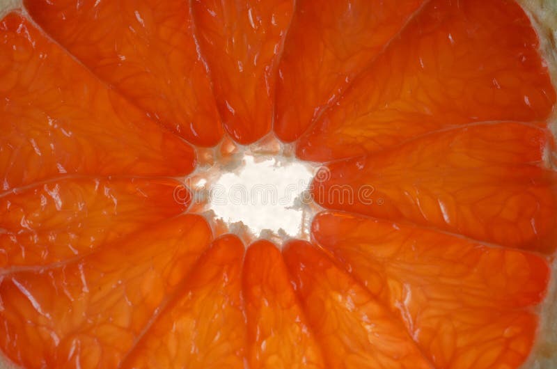 Close-up Shot of a Juicy Grapefruit Wedge Stock Photo - Image of ...