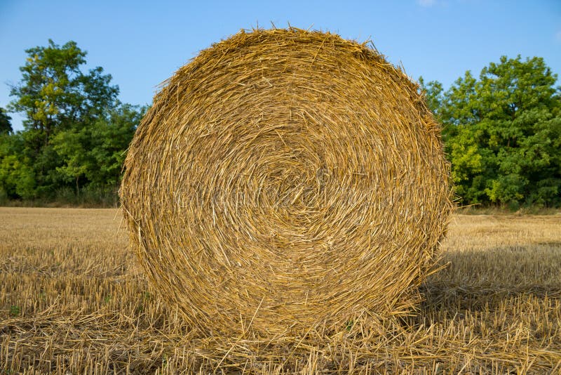 Hay Bail Stack stock photo. Image of blue, rural, grass - 27593448