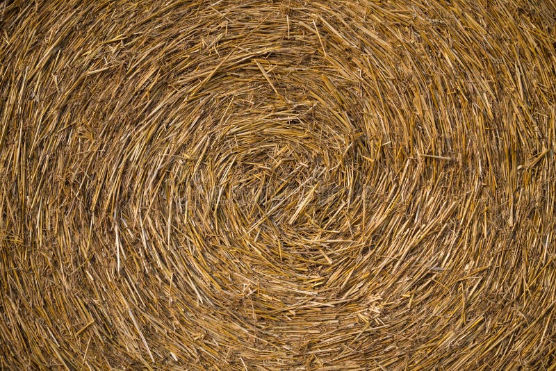 Hay bail close up stock photo. Image of bail, rural, natural - 58260762