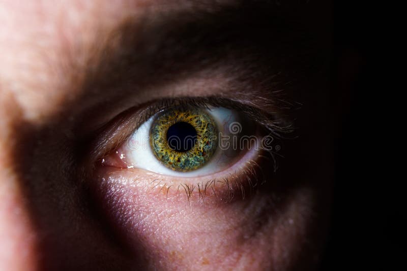 Close Up Shot of Man Green-brown Eye. Human Eye or Eyeball on Dramatic ...
